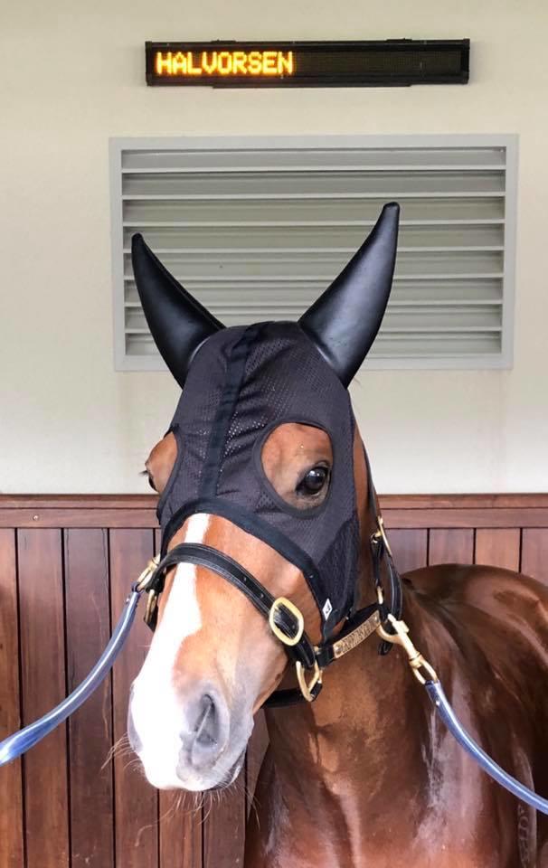 Welcome to the website of Griffiths Racing | Griffiths Racing