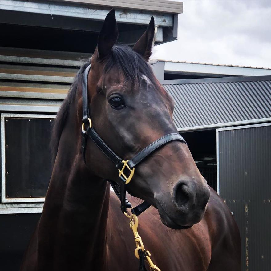 Welcome to the website of Griffiths Racing | Griffiths Racing