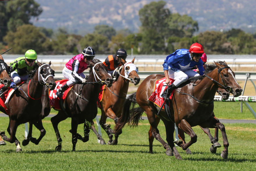 Patrick Payne | Australia Horse Trainer | Melbourne