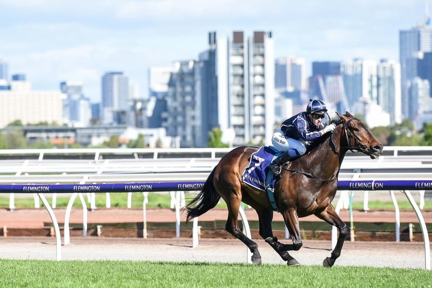 Patrick Payne | Australia Horse Trainer | Melbourne