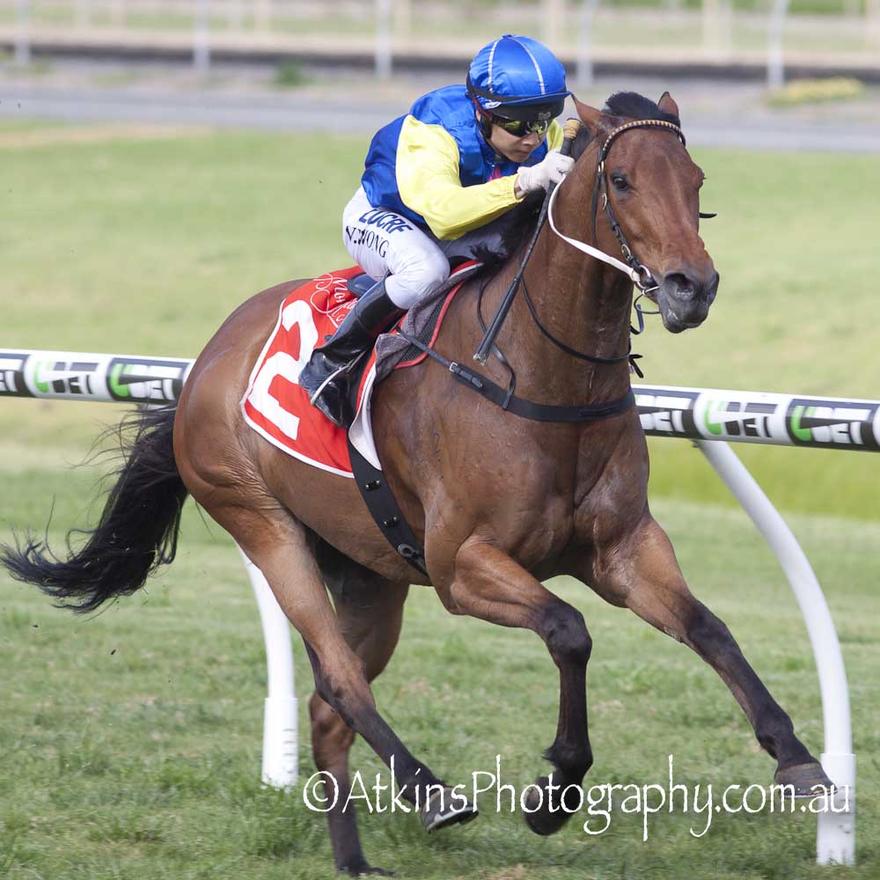 Australian Racehorse Trainer - Richard Jolly