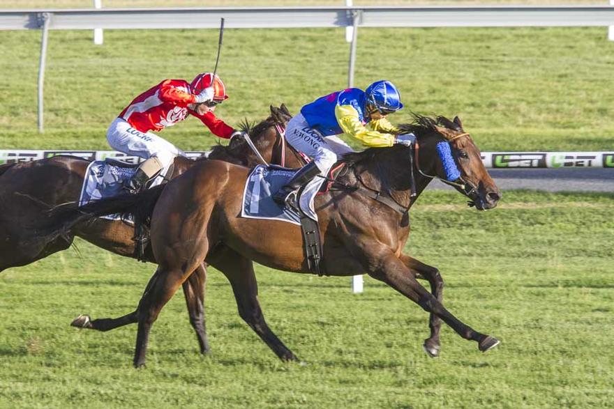 Australian Racehorse Trainer - Richard Jolly