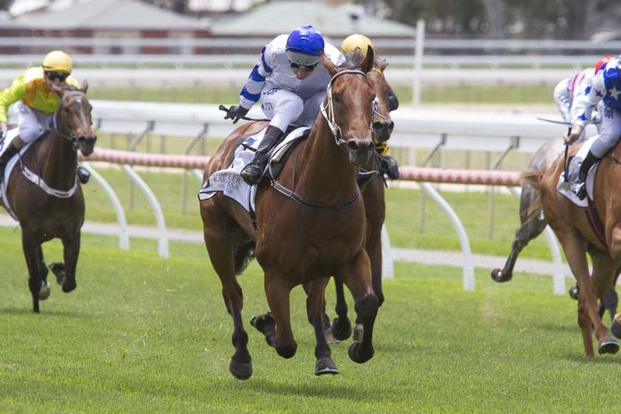 Australian Racehorse Trainer - Richard Jolly