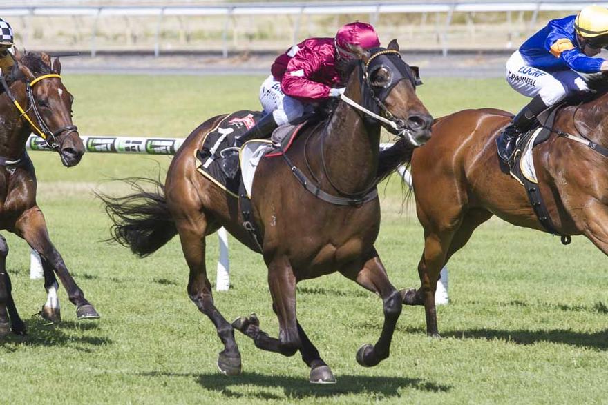 Australian Racehorse Trainer - Richard Jolly