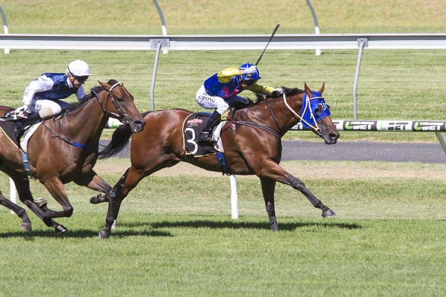 Australian Racehorse Trainer - Richard Jolly