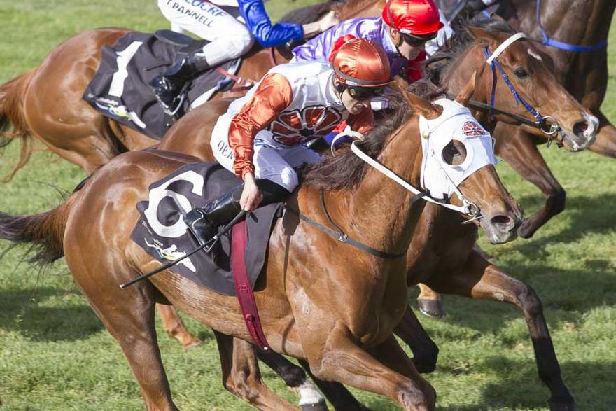 Australian Racehorse Trainer - Richard Jolly