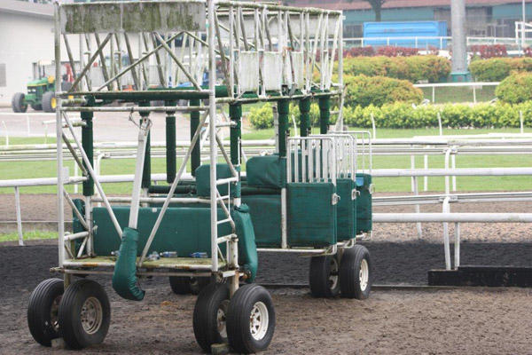 Copper Belt Racing Stables (s) Pte Ltd :: Gallery