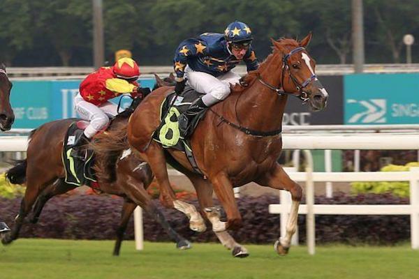 Stephen Gray Racing Stables