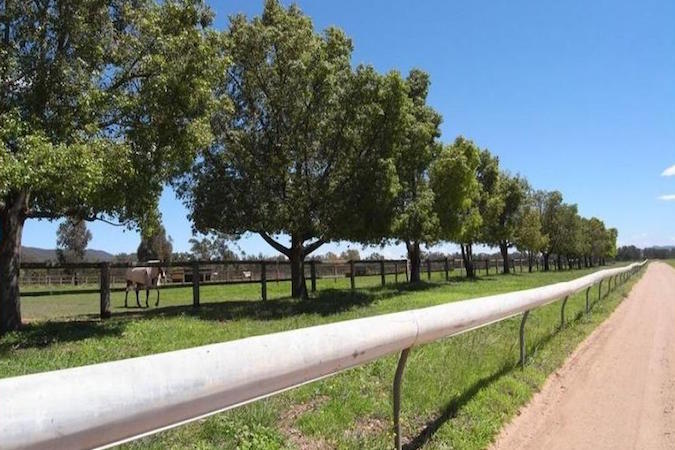 Horse Training Facilities - Cameron Crockett Racing