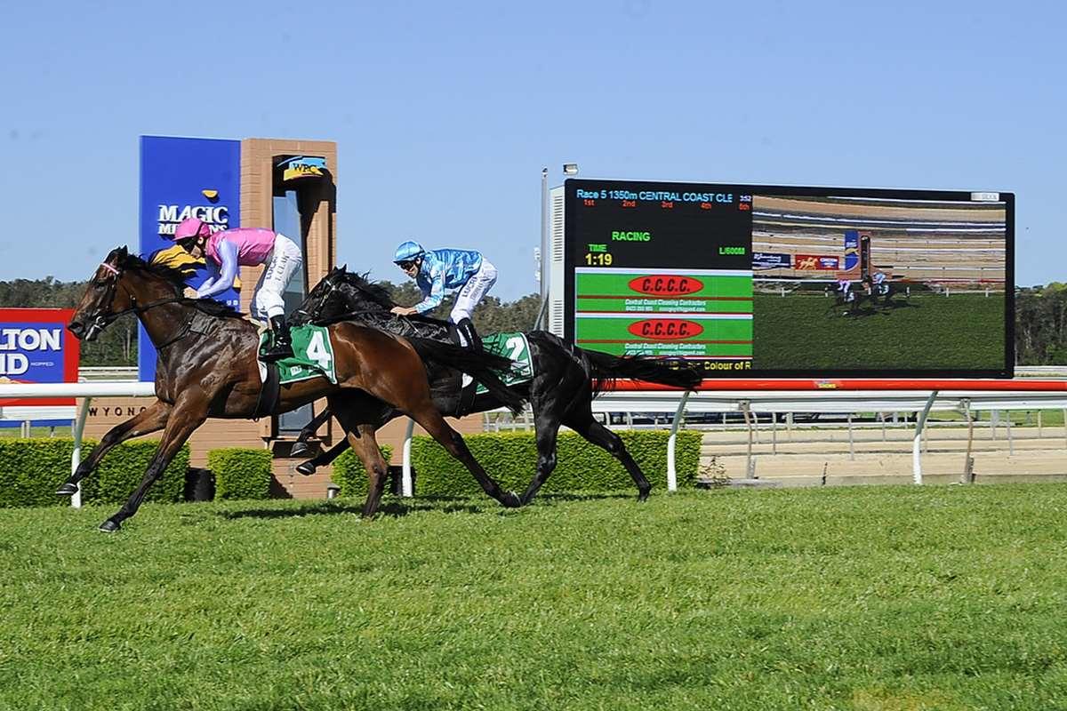 Kim Waugh Racing Stables :: Gallery