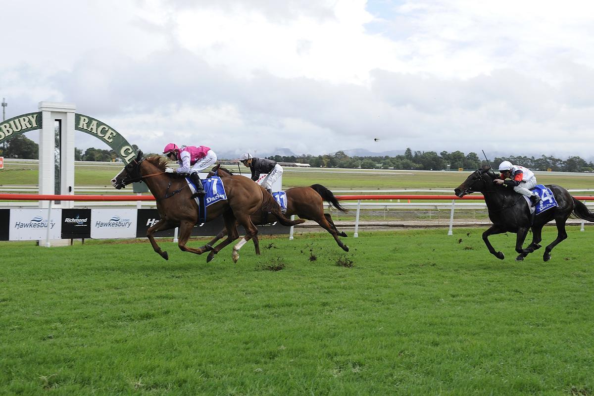 Kim Waugh Racing Stables :: Gallery