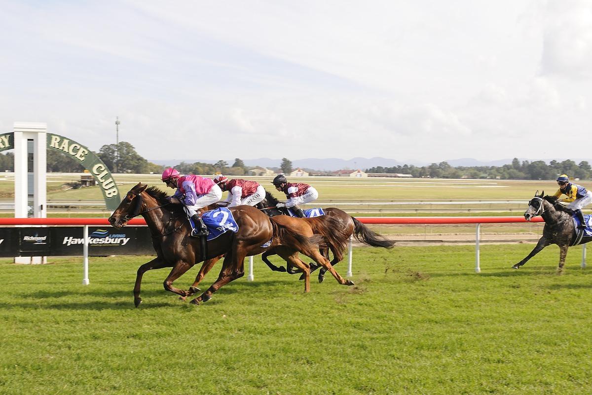 Kim Waugh Racing Stables :: Gallery