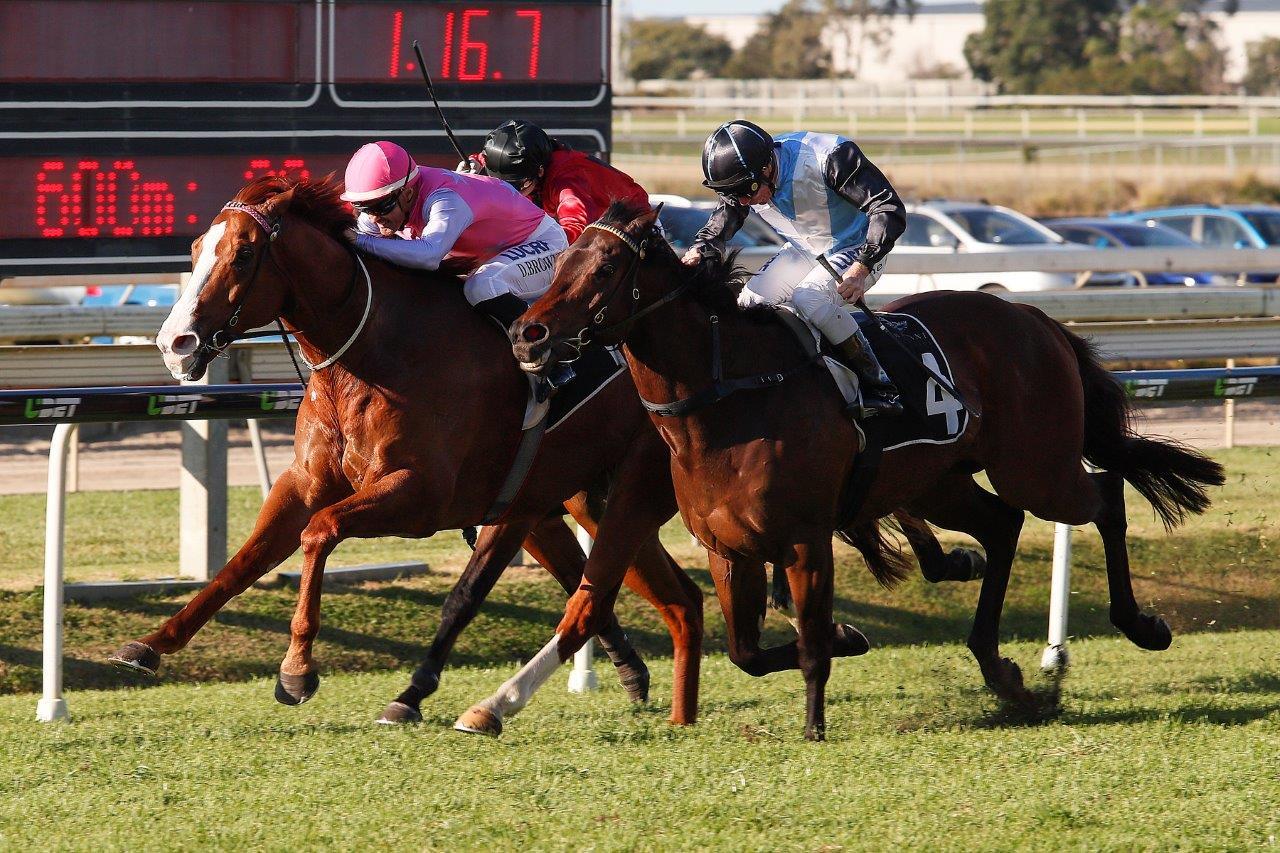 Kim Waugh Racing Stables :: Gallery