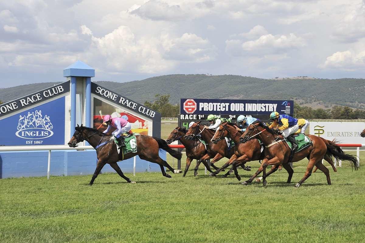 Kim Waugh Racing Stables :: Gallery