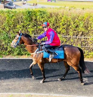 Australian Horse Trainer - Kim Waugh Racing Stables