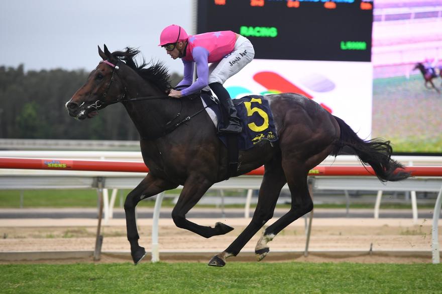 Australian Horse Trainer - Kim Waugh Racing Stables