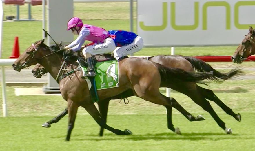 Australian Horse Trainer - Kim Waugh Racing Stables