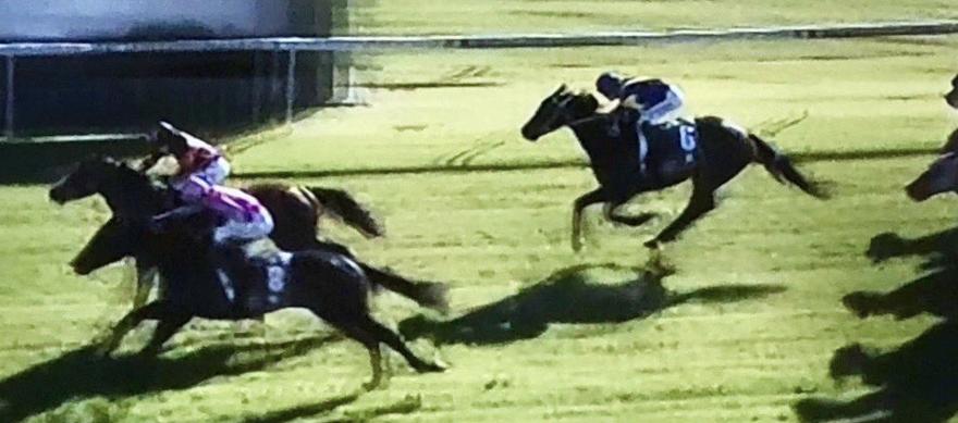 Australian Horse Trainer - Kim Waugh Racing Stables