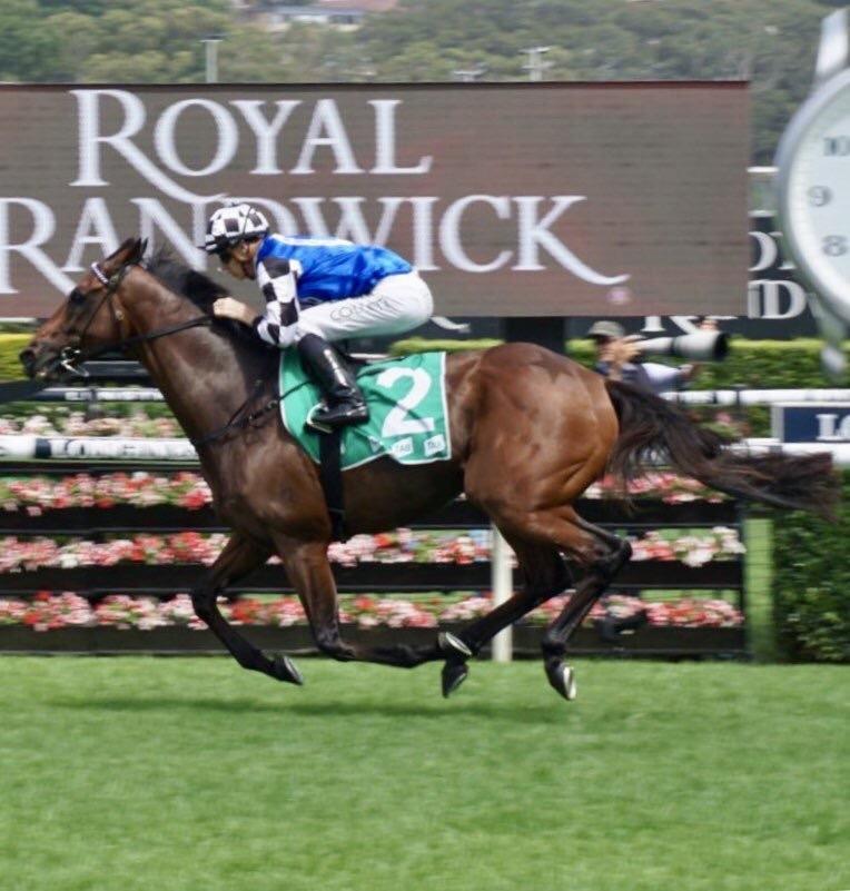 Australian Horse Trainer - Kim Waugh Racing Stables