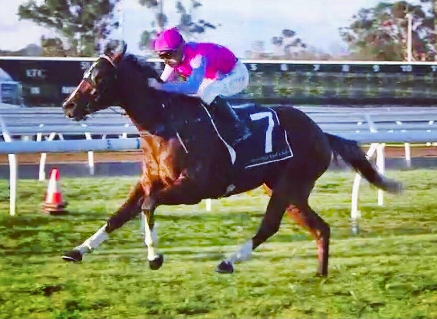 Australian Horse Trainer - Kim Waugh Racing Stables