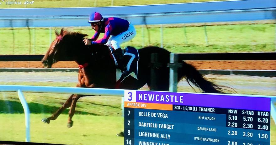 Australian Horse Trainer - Kim Waugh Racing Stables