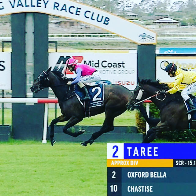 Australian Horse Trainer - Kim Waugh Racing Stables