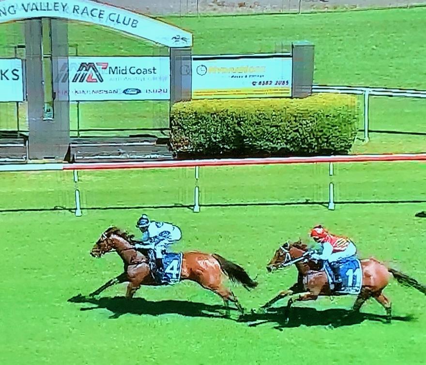 Australian Horse Trainer - Kim Waugh Racing Stables