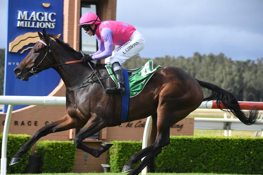 Australian Horse Trainer - Kim Waugh Racing Stables