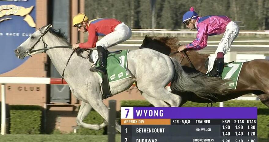 Australian Horse Trainer - Kim Waugh Racing Stables