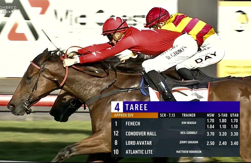 Australian Horse Trainer - Kim Waugh Racing Stables