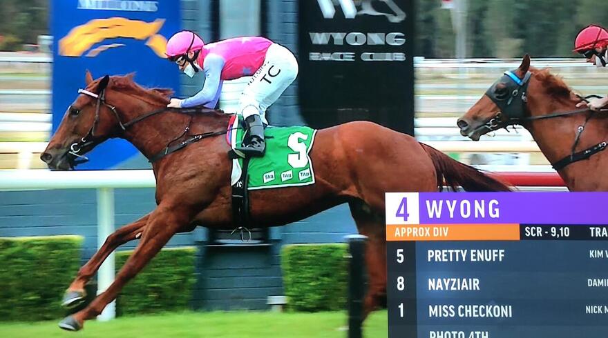 Australian Horse Trainer - Kim Waugh Racing Stables