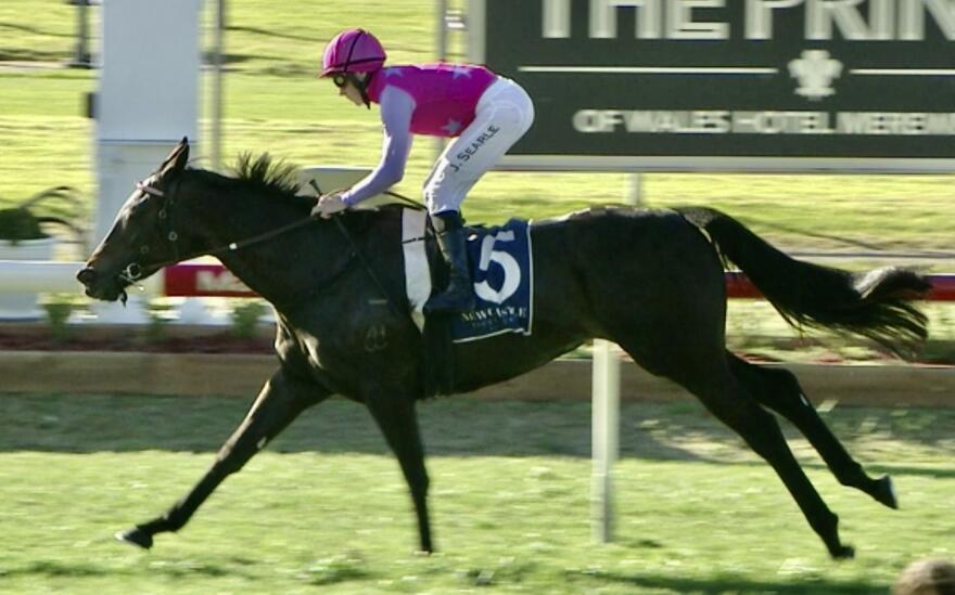 Australian Horse Trainer - Kim Waugh Racing Stables