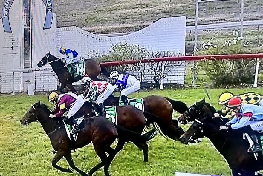 Australian Horse Trainer - Kim Waugh Racing Stables