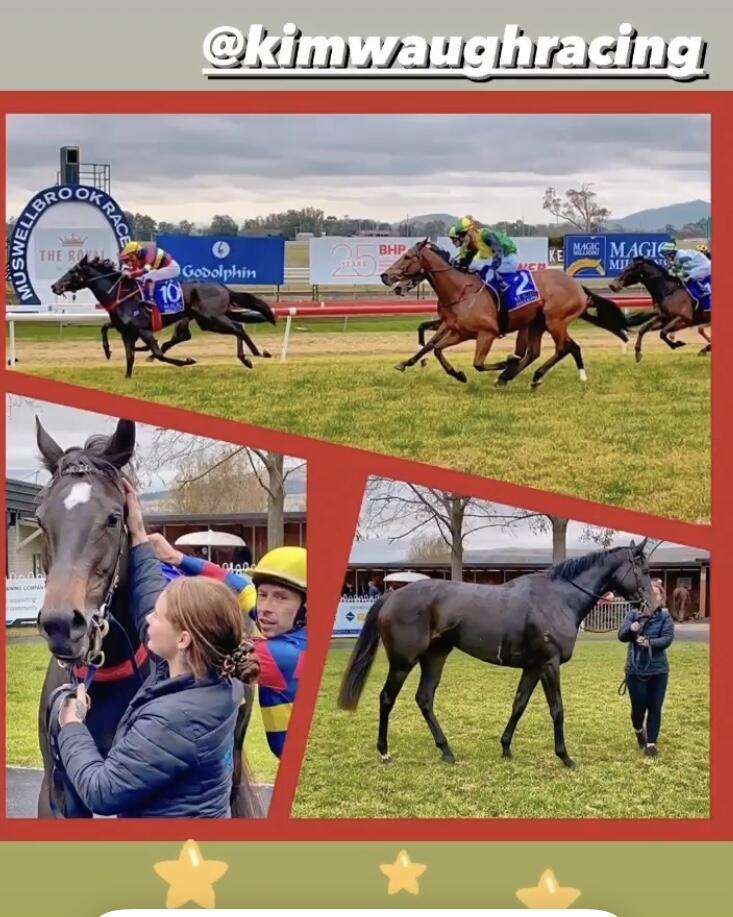 Australian Horse Trainer - Kim Waugh Racing Stables