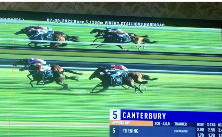 Australian Horse Trainer - Kim Waugh Racing Stables