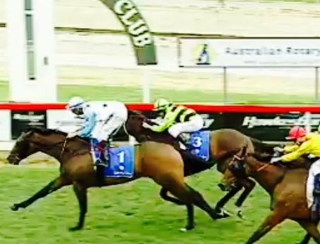 Australian Horse Trainer | John Thompson Racing