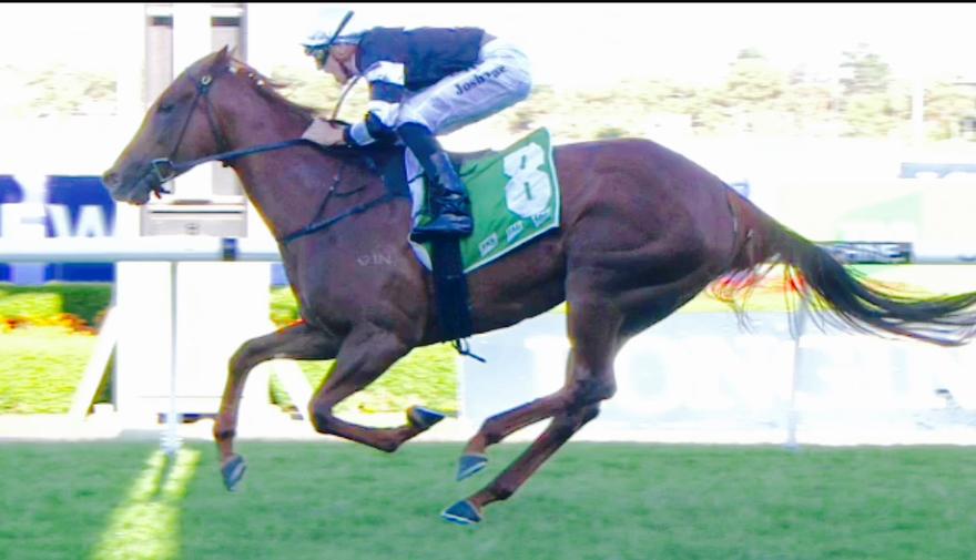 Australian Horse Trainer | John Thompson Racing