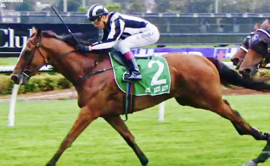 Australian Horse Trainer | John Thompson Racing