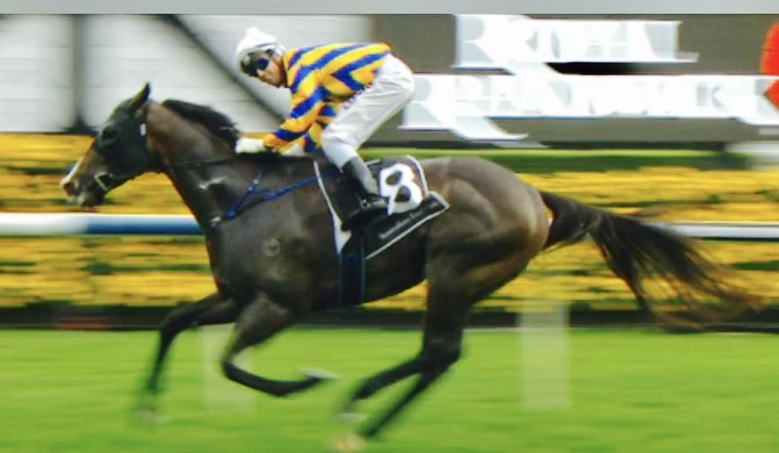 Australian Horse Trainer | John Thompson Racing