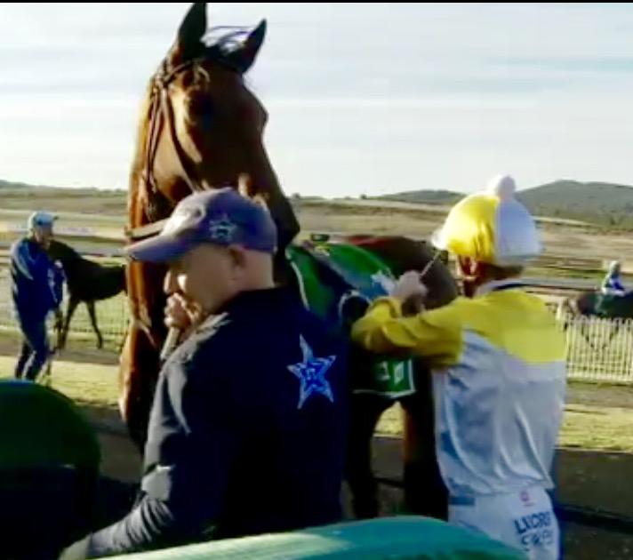 Australian Horse Trainer | John Thompson Racing