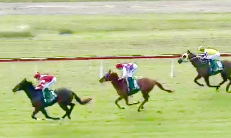 Australian Horse Trainer | John Thompson Racing