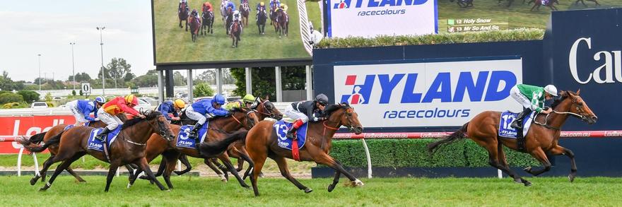 Australian Horse Trainer | John Thompson Racing