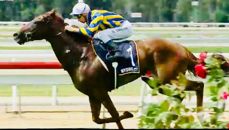 Australian Horse Trainer | John Thompson Racing