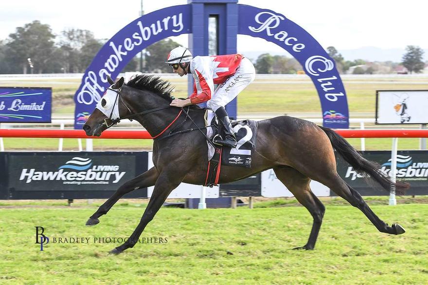 Australian Horse Trainer | John Thompson Racing