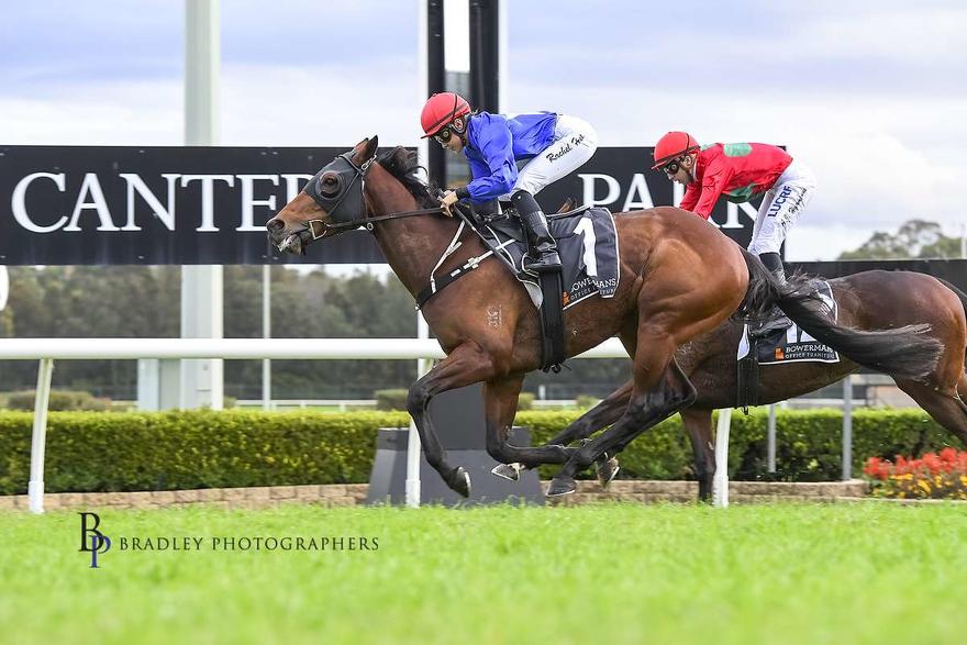 Australian Horse Trainer | John Thompson Racing