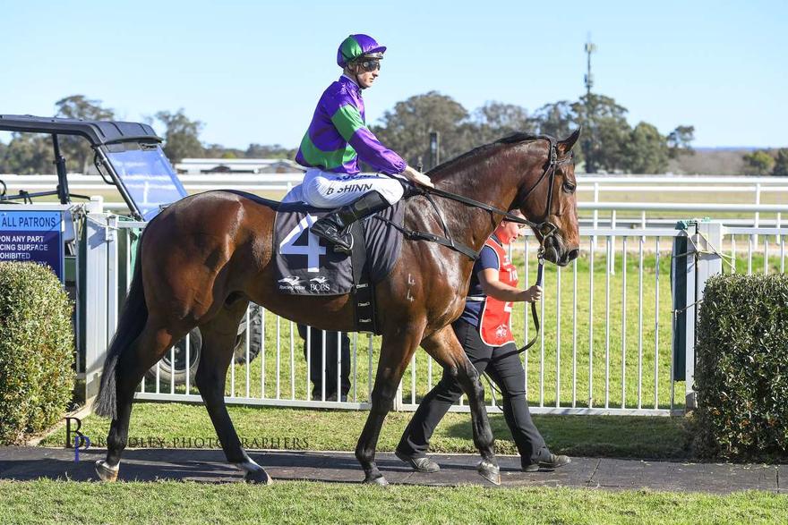 Australian Horse Trainer | John Thompson Racing