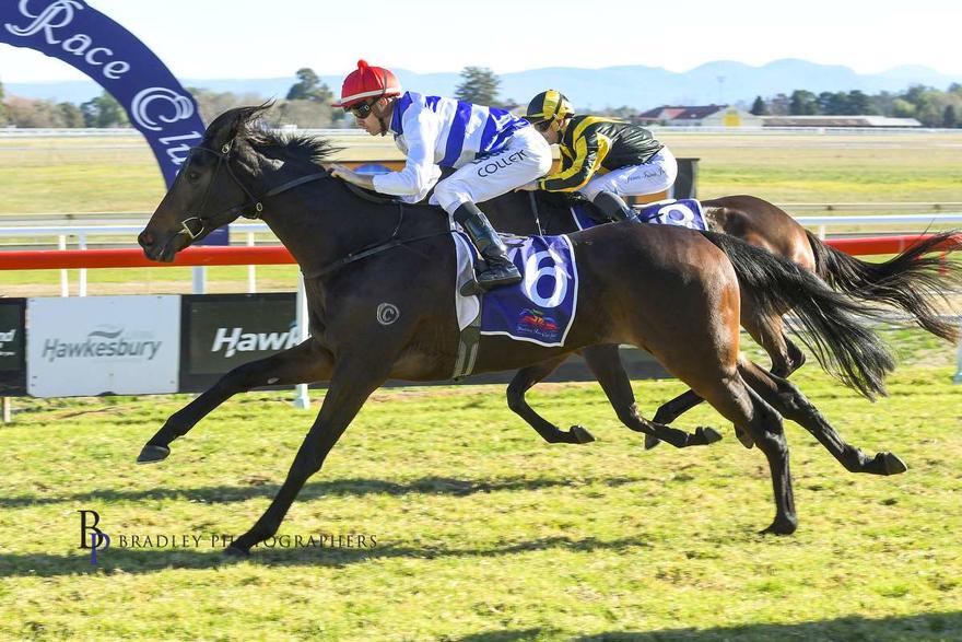 Australian Horse Trainer | John Thompson Racing