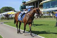 Welcome to the Website of Snowden Racing