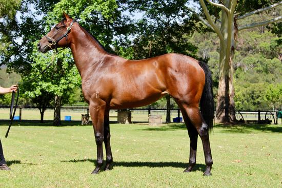 Welcome to the Website of Snowden Racing