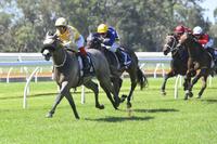 Welcome to the Website of Snowden Racing